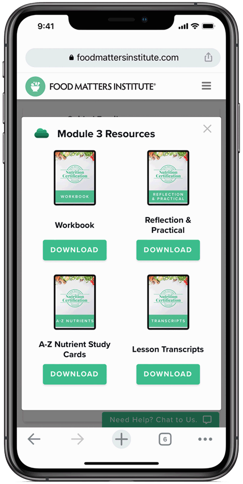 The Food Matters Nutrition Certification Course | Food Matters Institute